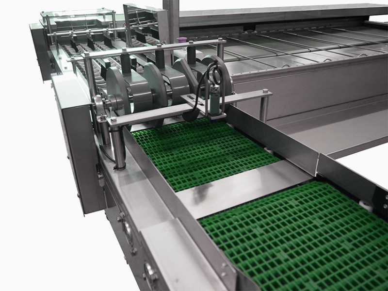 Egg grading Archives - Ovasol