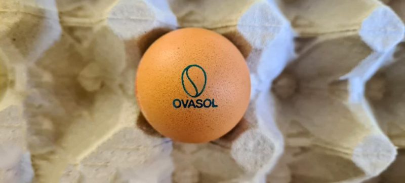 About - Ovasol